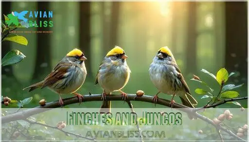 Sparrows With Yellow on Head: 3 Species ID Guide (2025)