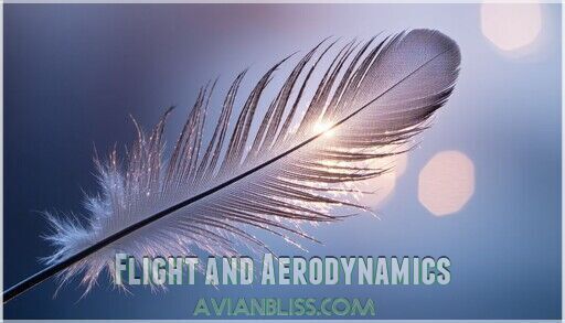 Types of Bird Feathers: 6 Amazing Types & Their Functions (2025)