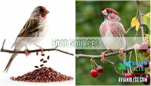 Western Tanager: Complete ID Guide, Diet, Habitat & Behavior Tips