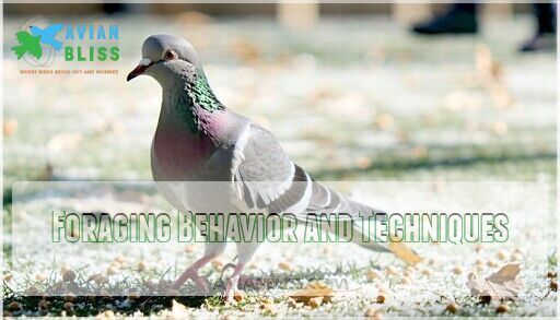 Eurasian Collared Dove: Complete Guide to This Remarkable Bird Species