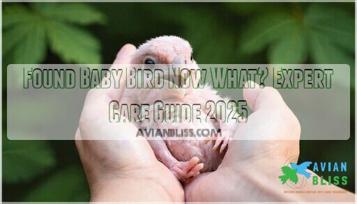 Found Baby Bird Now What? Expert Care Guide 2025