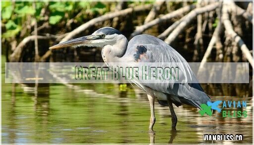 Florida Birds With Long Beaks: 22 Species Guide & Photos (2025)