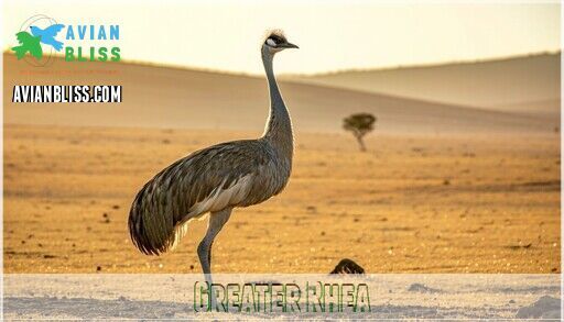 Bird Species by Size: Complete Guide to World's Largest Birds