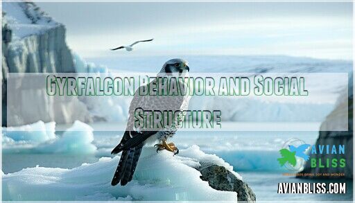 Gyrfalcon: World's Largest Falcon - ID, Habitat & Arctic Hunting Facts