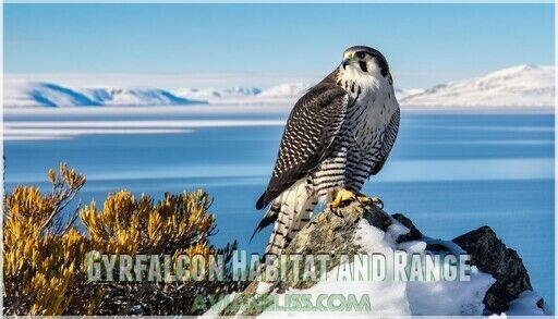 Gyrfalcon: World's Largest Falcon - ID, Habitat & Arctic Hunting Facts