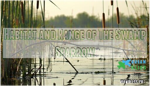 Swamp Sparrow: Complete ID Guide for Wetland Bird Enthusiasts