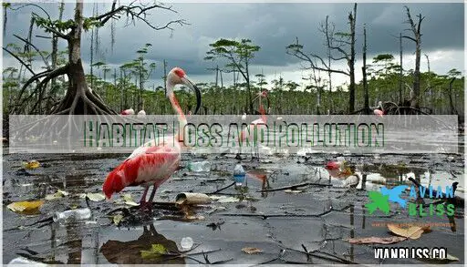 How Environment Impacts Scarlet Ibis Survival - Critical Facts Revealed