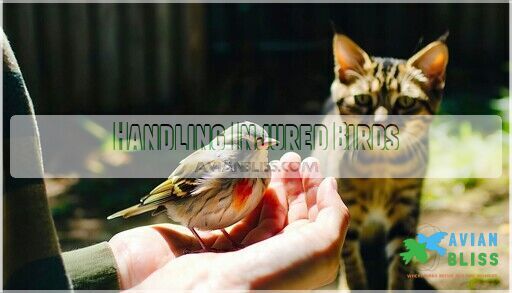 Rescuing a Bird From Cat: Life-Saving First Aid & Recovery Tips