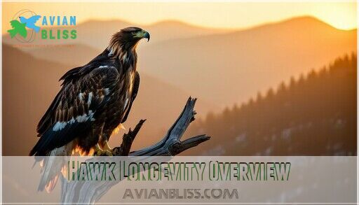 How Long Do Hawks Live? Lifespan Secrets & Record Ages Revealed