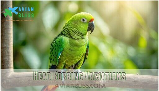 Conure Head Bobbing: 7 Surprising Reasons Why Your Bird Does This