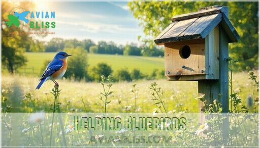 Bluebirds Nests and Eggs: Complete Guide to Eastern Bluebird Nesting
