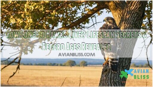 How Long Do Hawks Live? Lifespan Secrets & Record Ages Revealed