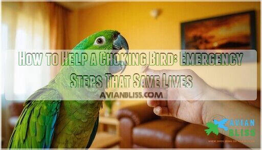 How to Help a Choking Bird: Emergency Steps That Save Lives