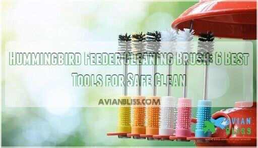 Hummingbird Feeder Cleaning Brush: 6 Best Tools for Safe Clean