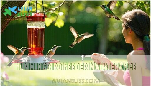 Best Hummingbird Feeder: 14 Top Picks That Actually Work (2025)