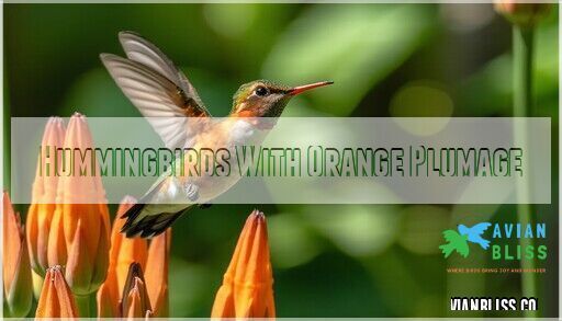 Orange Birds: 25 Stunning Species You Must See (ID Guide)