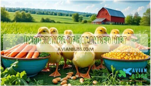 Why is My Duck Limping? 7 Causes & Quick Solutions Guide