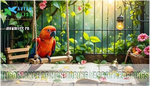 Why is Monitoring My Parrot Droppings Important? Health Signs