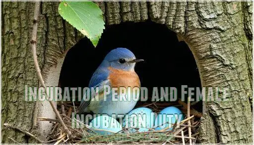 Bluebirds Nests and Eggs: Complete Guide to Eastern Bluebird Nesting