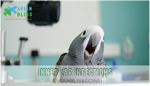 Bird Sudden Loss of Balance: Causes & Emergency Treatment Guide