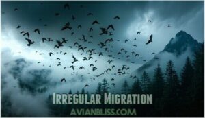 Types of Bird Migration Routes: Flyways, Patterns & Navigation