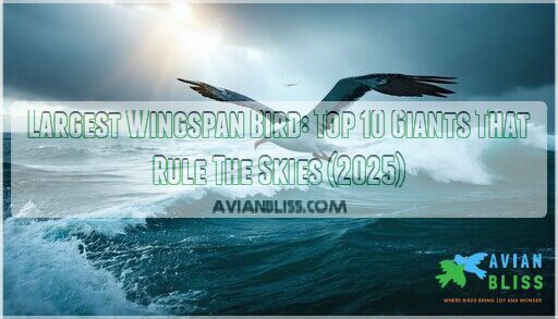 Largest Wingspan Bird: Top 10 Giants That Rule The Skies (2025)