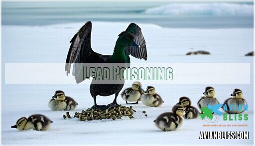 Spectacled Eider: Endangered Arctic Duck Fighting for Survival