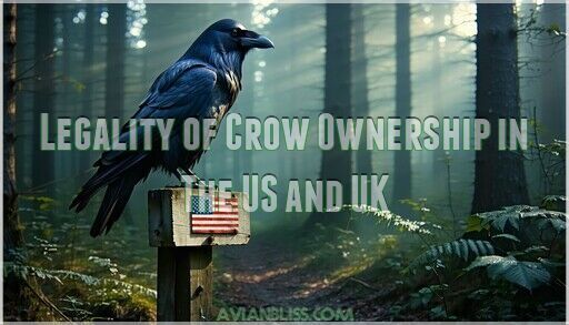 Why is It Illegal to Own a Crow? Surprising Facts Revealed!