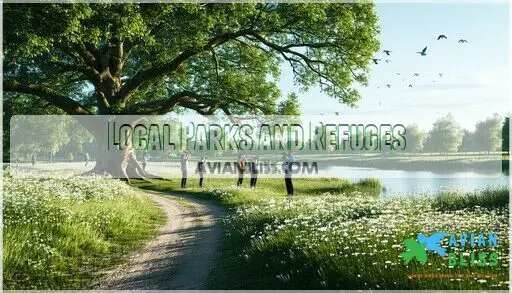 Bird Watching for Beginners: Complete Guide to Start Birding Today