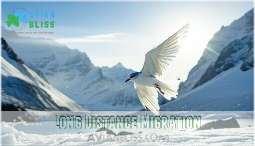 Types of Bird Migration Routes: Flyways, Patterns & Navigation