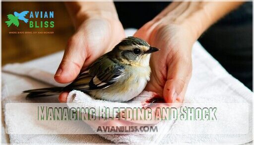 Rescuing a Bird From Cat: Life-Saving First Aid & Recovery Tips
