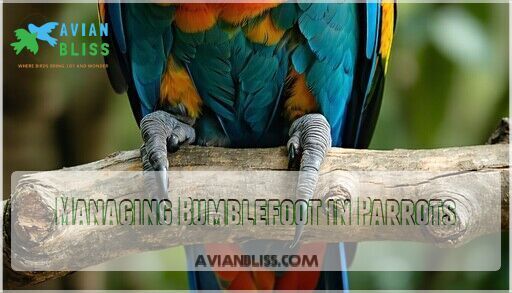 Parrot Foot Bumblefoot Treatment: Complete Care & Prevention Guide
