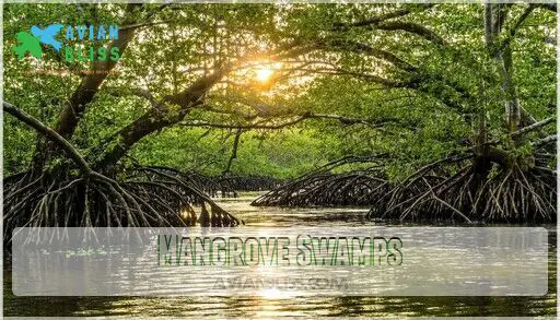 Mangrove Cuckoo: Habitat, Diet, and Key Differences Explained