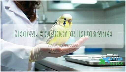 Budgie Holding Wings Away From Body: Why & When to Worry