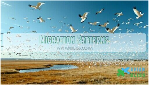 Sparrows With Yellow on Head: 3 Species ID Guide (2025)