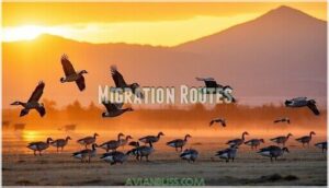 Snow Goose Facts: Migration, Habitat & ID Guide You Need to Know