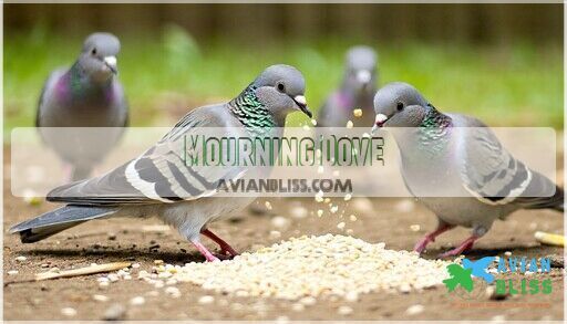 Types of Birds That Eat Seeds: Your Complete Feeding Guide