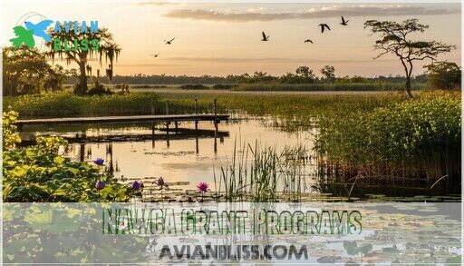 Bird Conservation Wetlands: Critical Habitat Protection & NAWCA Grants