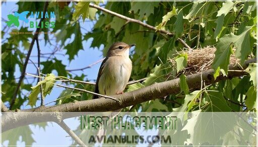 Carolina Wren Facts: Habitat, Diet, Nesting & Behavior Guide