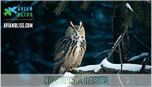 Types of Owls: 20+ Species With Pictures & Facts (Complete Guide)