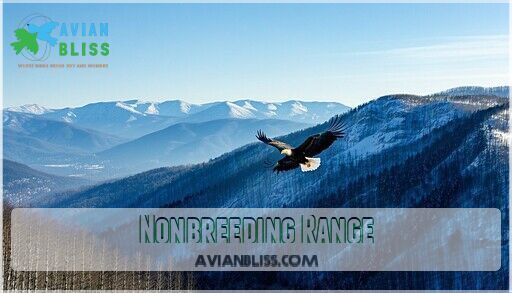 Where Do Golden Eagles Live? Range, Habitat & Distribution Guide