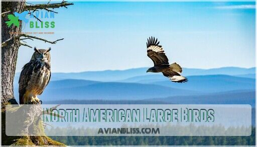 Bird Species by Size: Complete Guide to World's Largest Birds
