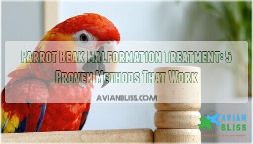 Parrot Beak Malformation Treatment: 5 Proven Methods That Work