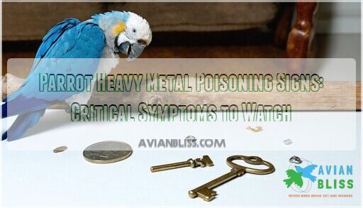 Parrot Heavy Metal Poisoning Signs: Critical Symptoms to Watch
