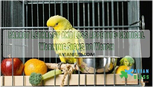 Parrot Lethargy and Loss Appetite: Critical Warning Signs to Watch