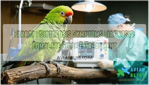Parrot Psittacosis Symptoms Diagnosis: Complete Guide & Treatment