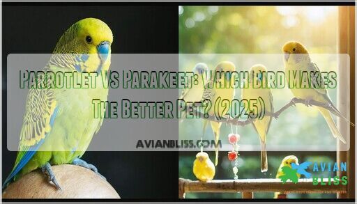 Parrotlet Vs Parakeet: Which Bird Makes The Better Pet? (2025)