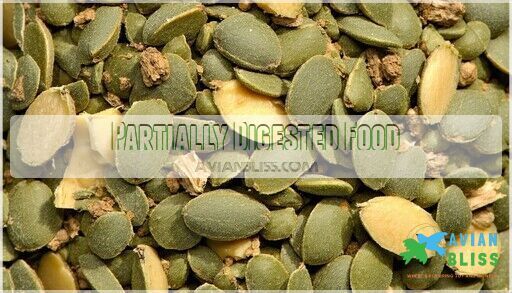 Bird Vomiting Regurgitation Symptoms: Quick Guide for Pet Owners