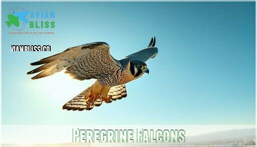 Types of Falcons: 25+ Species With Photos & Identification Tips