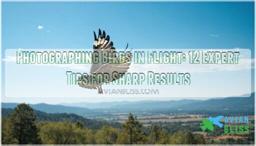 Photographing Birds in Flight: 12 Expert Tips for Sharp Results